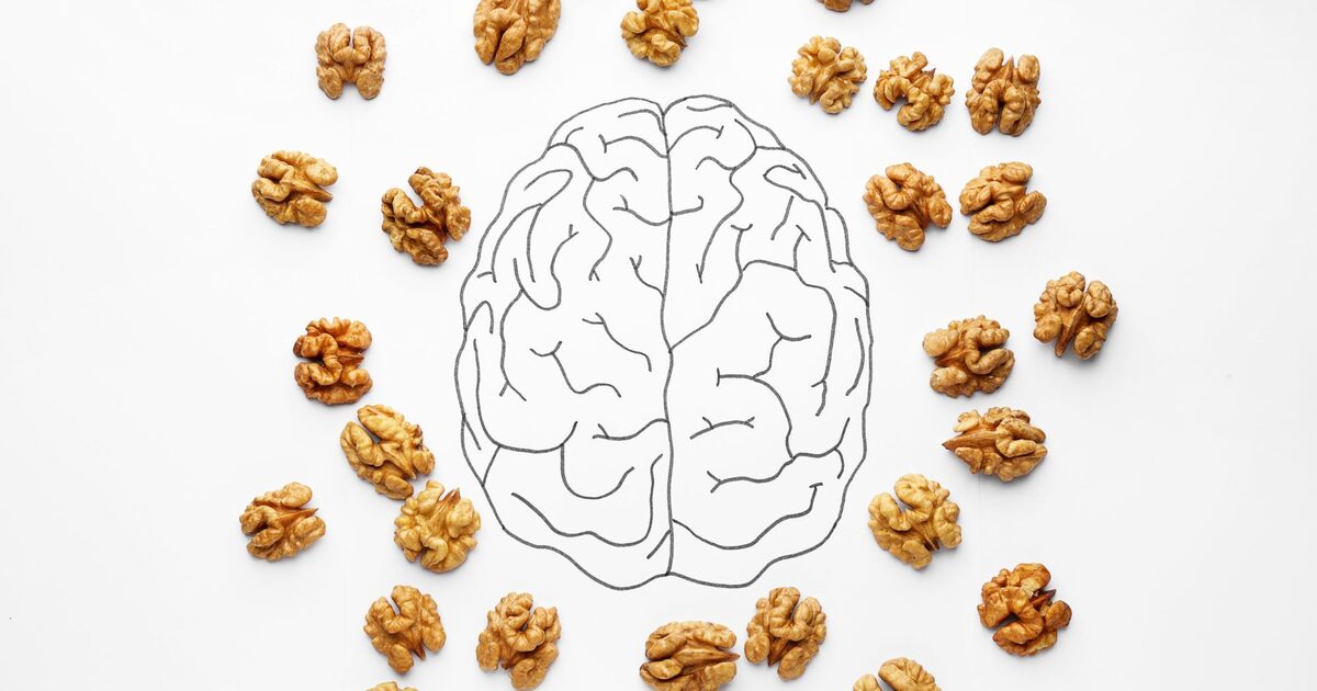A concentrated dose of brain food: that’s how you keep your brain fit!